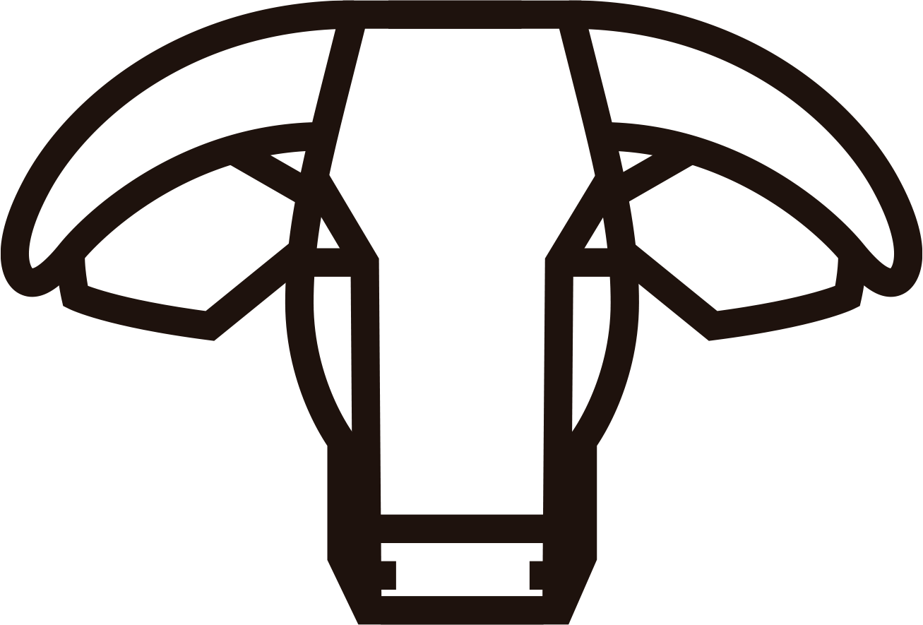 A Associação - Santa Gertrudis